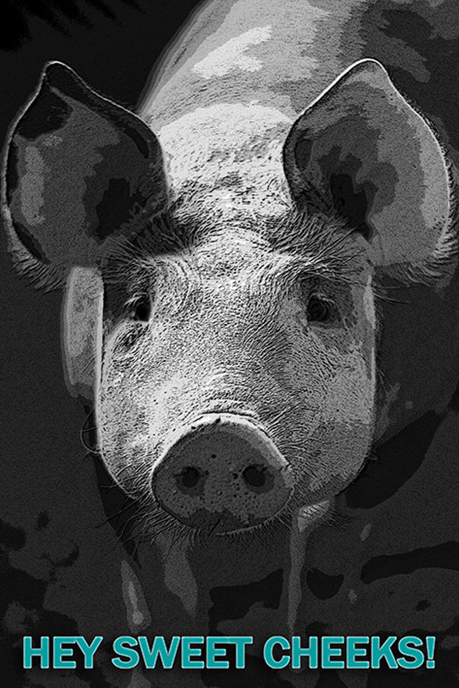 Funny Cheeky HEY SWEET CHEEKS Canvas Print Picture Wall Art - Etsy UK