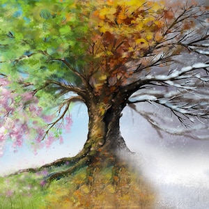 Tree of Four 4 Seasons Spring Summer Autumn Winter Nature Canvas Print ...