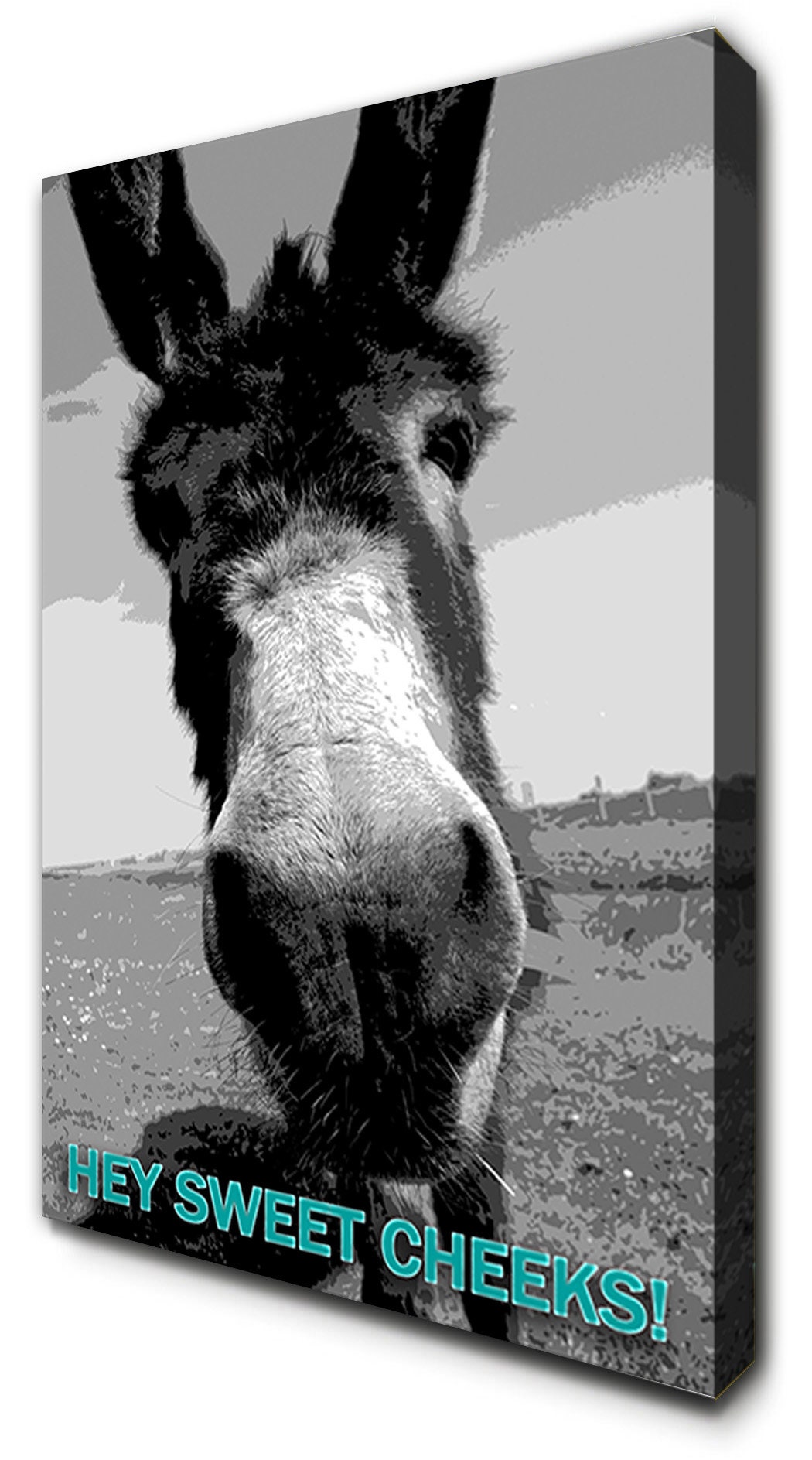 Funny Cheeky HEY SWEET CHEEKS Canvas Print Picture Wall Art | Etsy UK