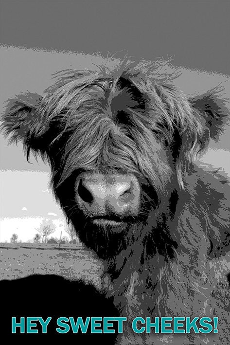 Funny Cheeky HEY SWEET CHEEKS Canvas Print Picture Wall Art - Etsy UK