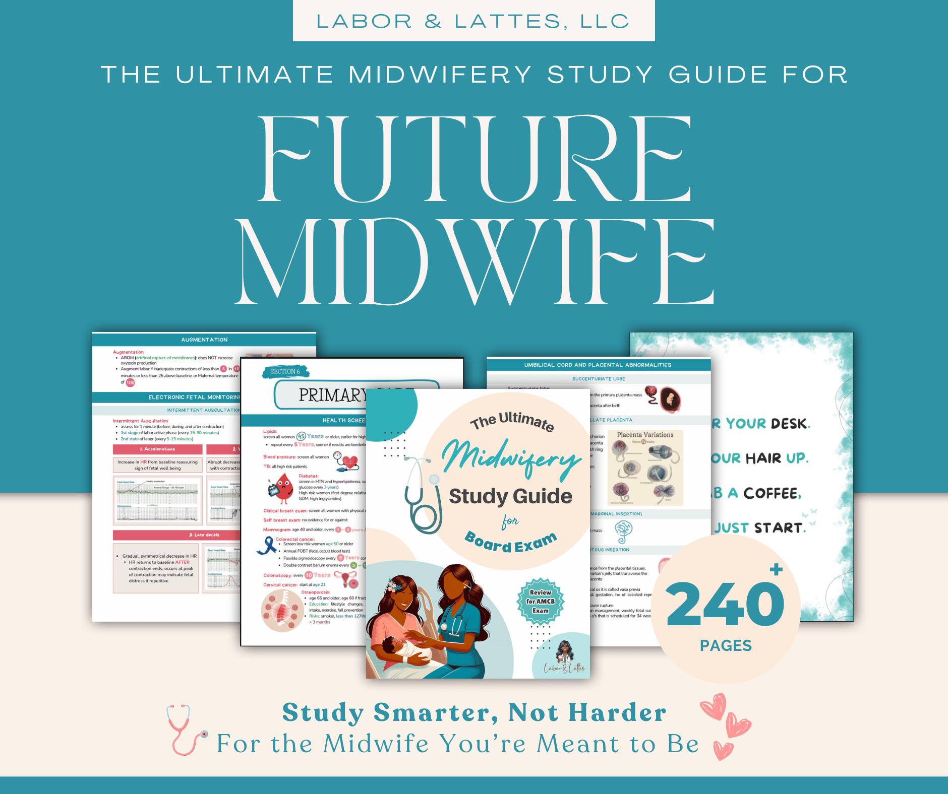 The Ultimate Midwifery Study Guide - Etsy