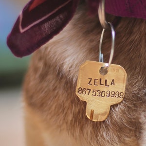 Recycled Key Dog Tag - Personalized Pet ID Tag for Your Dog or Cat ...