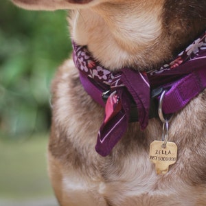Recycled Key Dog Tag - Personalized Pet ID Tag for Your Dog or Cat ...
