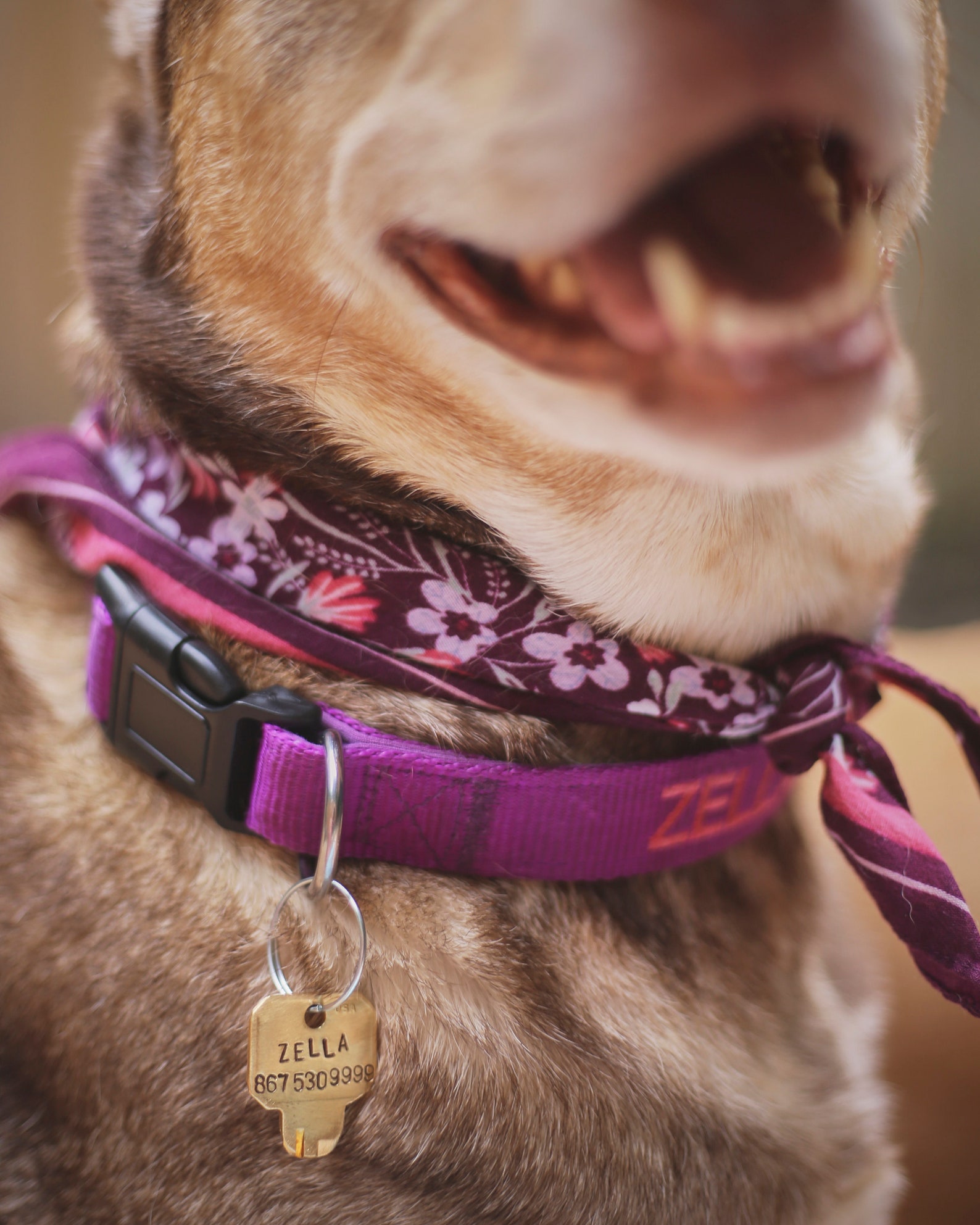 Recycled Key Dog Tag Personalized Pet ID Tag for Your Dog or | Etsy