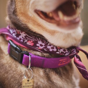 Recycled Key Dog Tag - Personalized Pet ID Tag for Your Dog or Cat ...