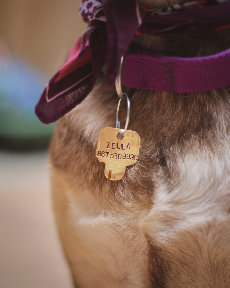 Recycled Key Dog Tag Personalized Pet ID Tag for Your Dog or | Etsy