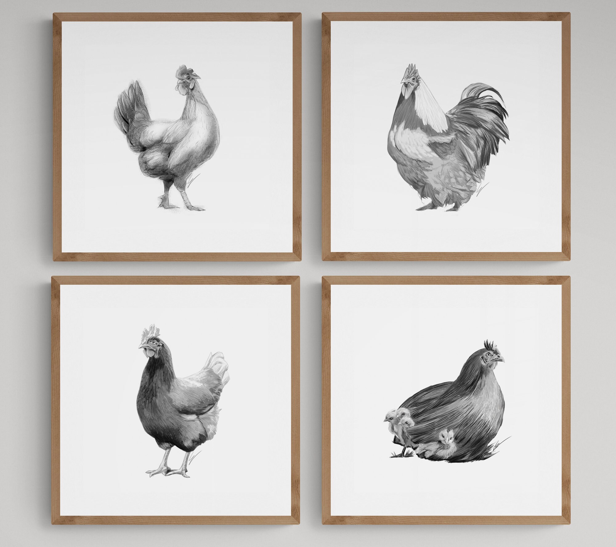 Farmhouse Art Chook Prints in Pencil Set of Four - Etsy Australia