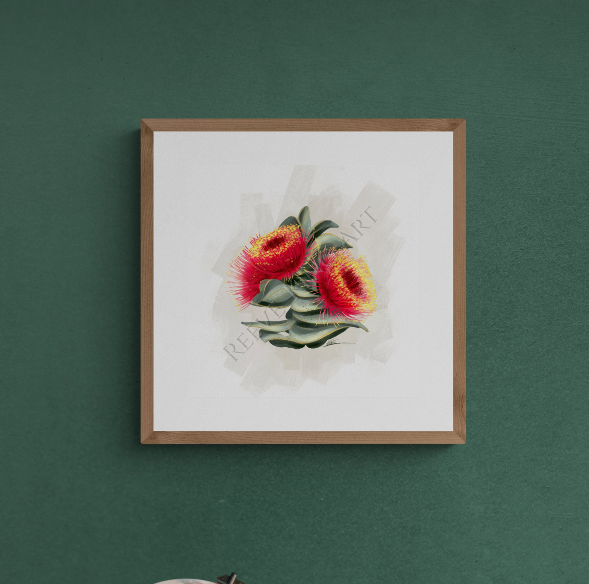 Australian Native Flora Set of Four Prints by Australian Artist Reeve ...