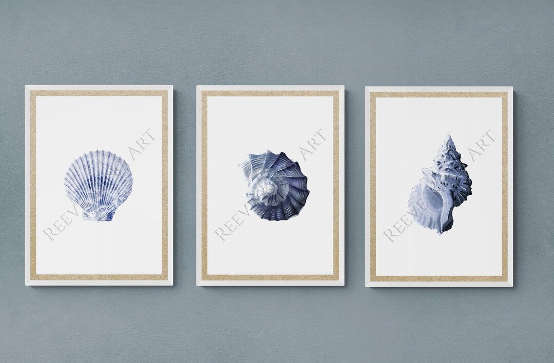 Hamptons Wall Art Prints - Set of 3 Shell Coastal Theme - Etsy