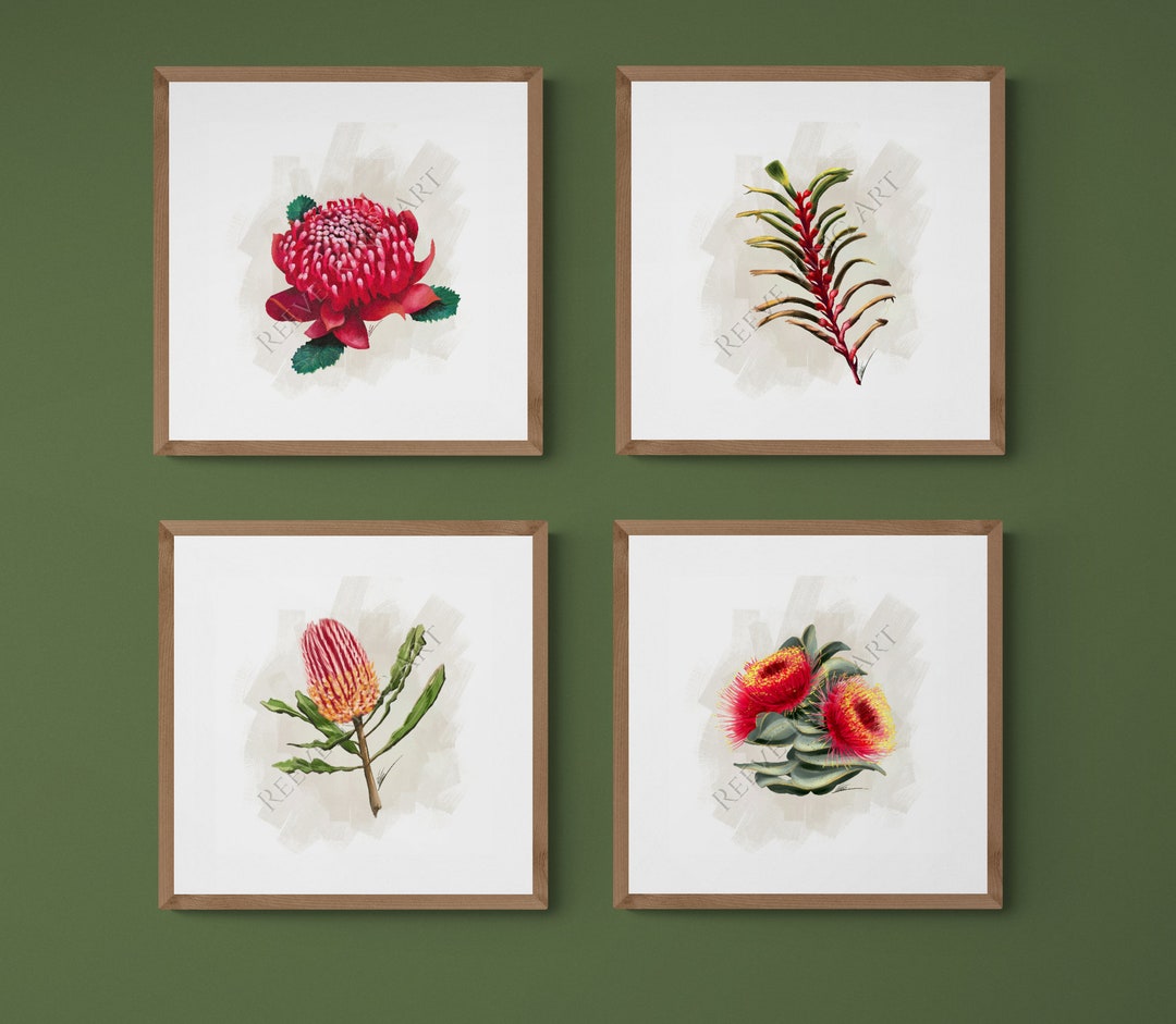 Australian Native Flora Set of Four Prints by Australian Artist Reeve ...
