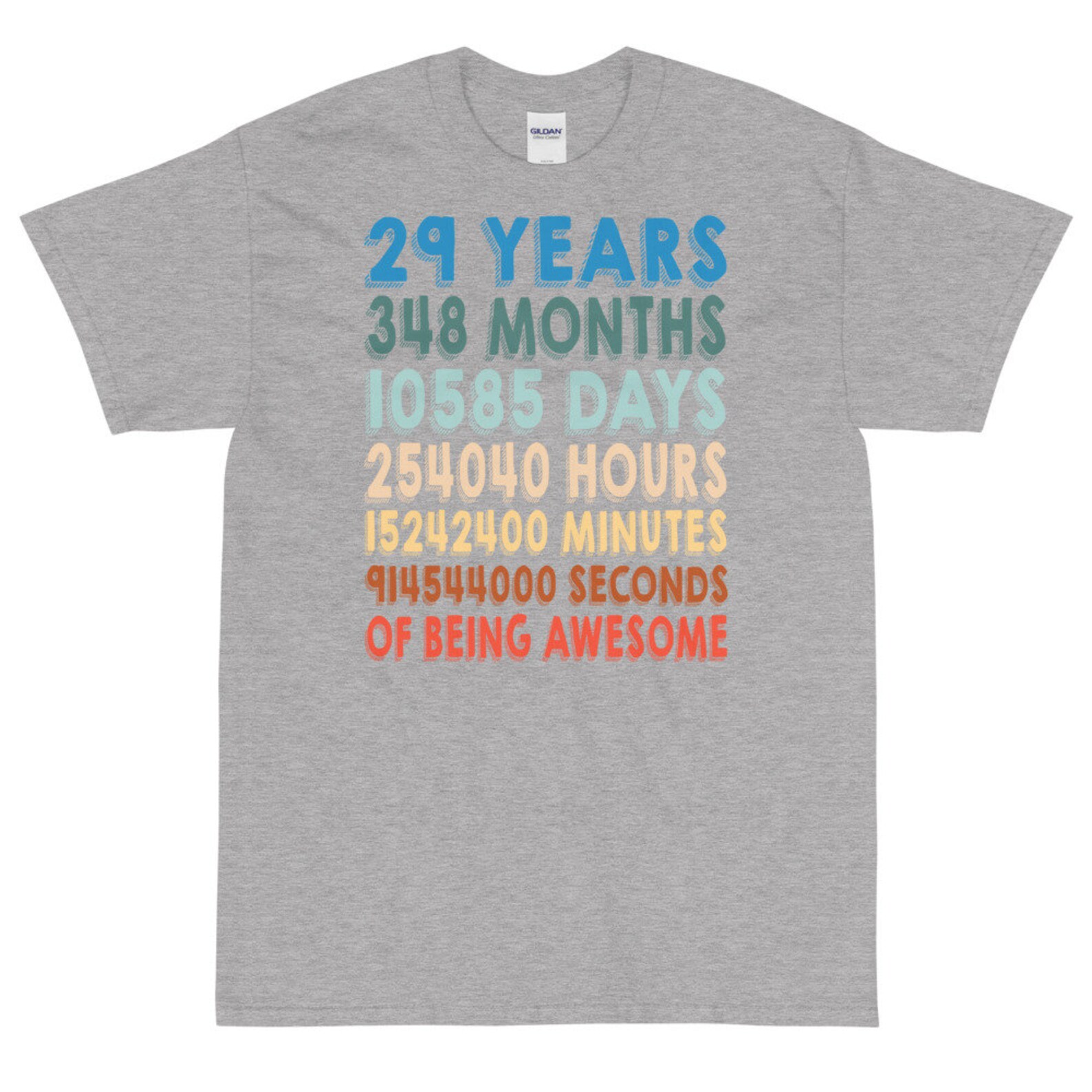 29th Birthday Shirt 29th Birthday Gift Birthday Tee Gift - Etsy