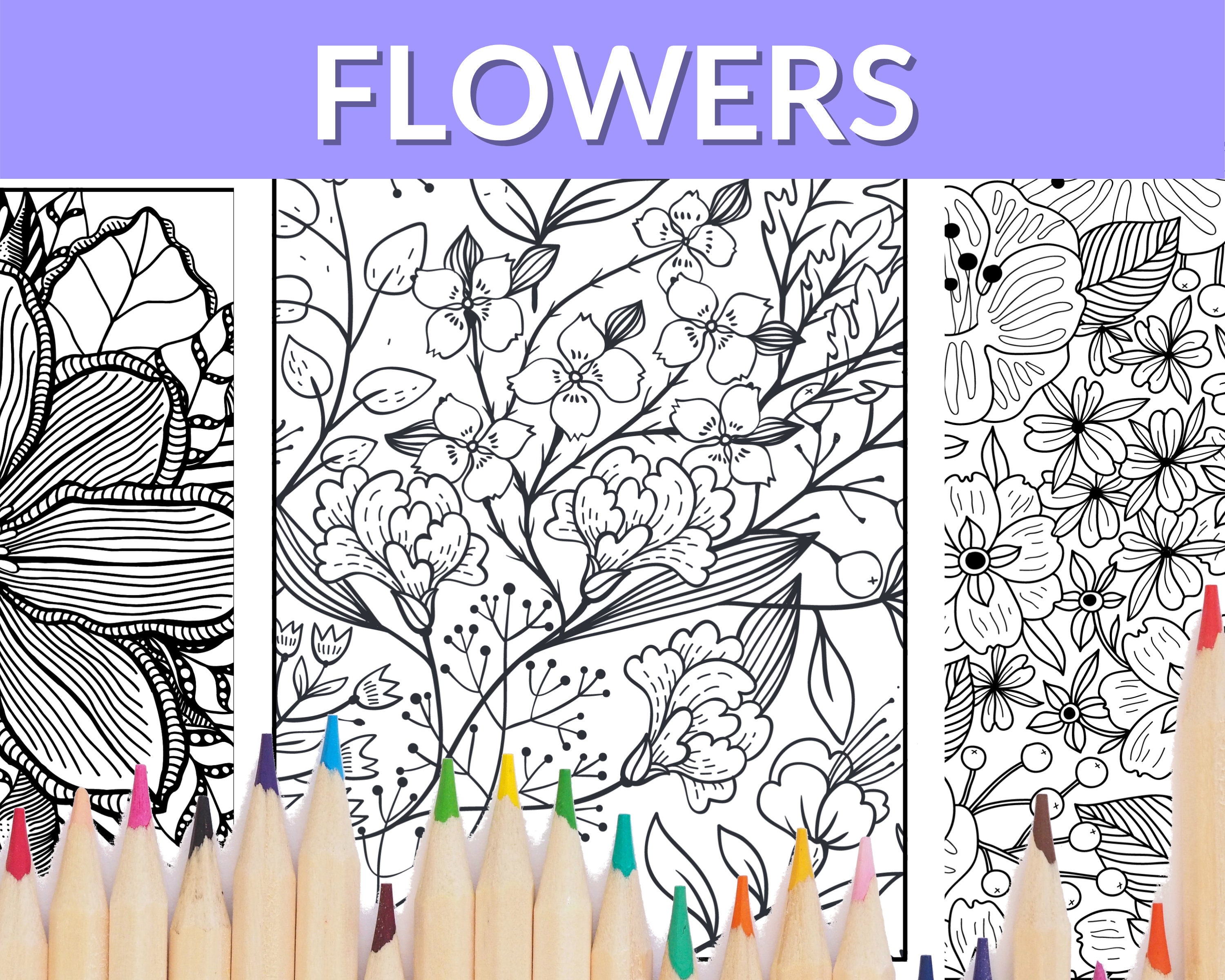 Beautiful Flower Themed Coloring Pages, 11 Printable Coloring Sheets - Etsy