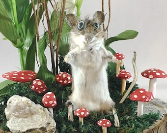 Magic Mushroom Mouse - Etsy