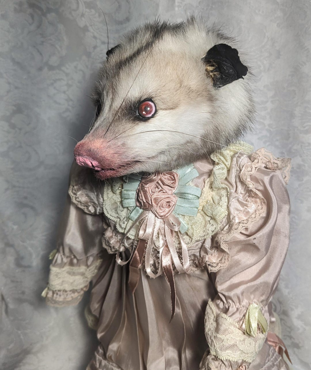 Taxidermy Opossum Doll Real Possum Oddities Vintage Baby Doll Repurposed Cute Demure Taxidermy ...