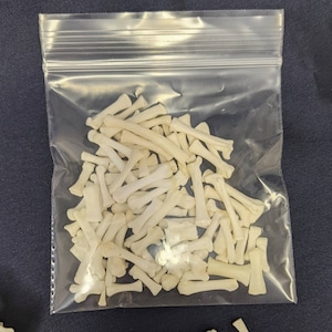 Groundhog Woodchuck Bones Full Skeletons Juvenile Adult Sold by Type ...