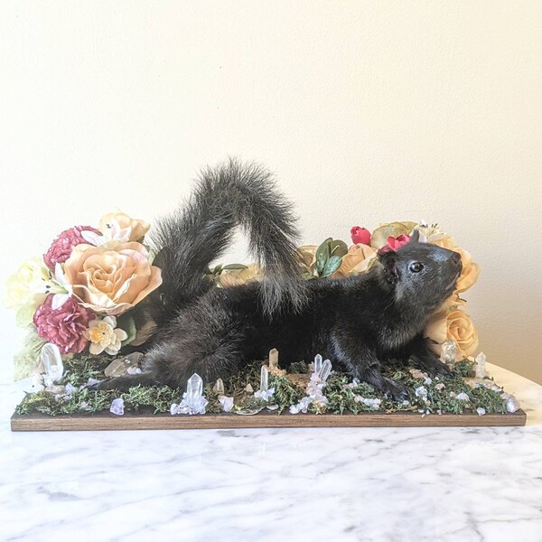 Black Forest Shelf - Etsy