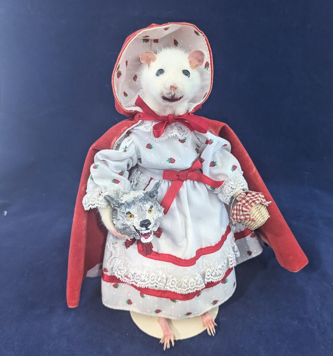 Taxidermy Little Red Riding Rat Real Rat Taxidermy Oddities Doll ...