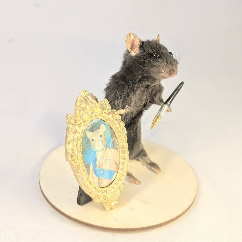 Taxidermy Mouse is a Beautiful Painter Mouse Taxidermy - Etsy
