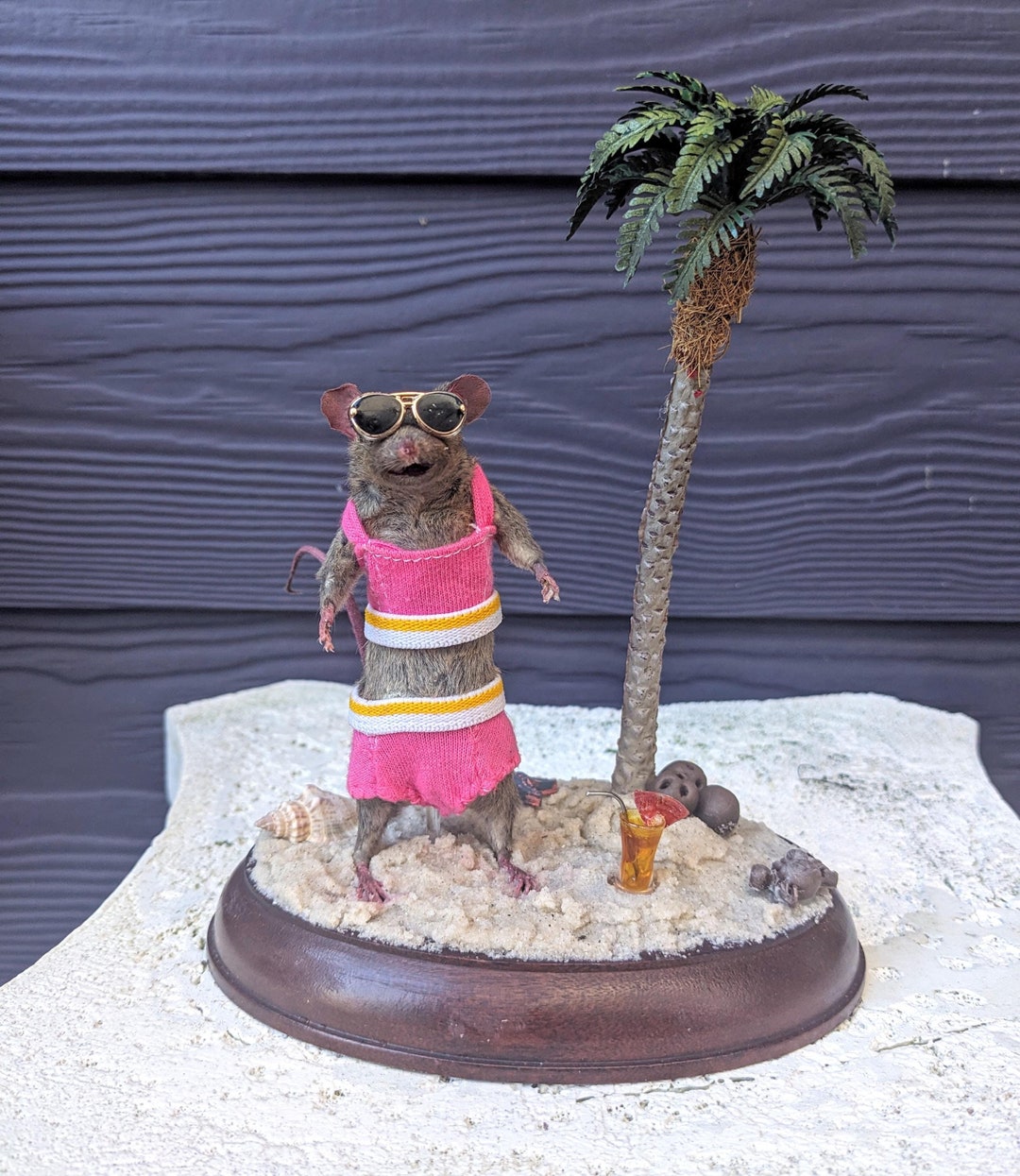 Taxidermy Mouse Beach Scene Cute Brown Mouse Chilling on the Beach Real ...