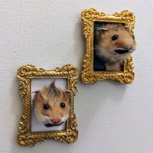 Taxidermy Mouse Head Mount Trophy Tiny Mouse / Hamster / Rat - Etsy