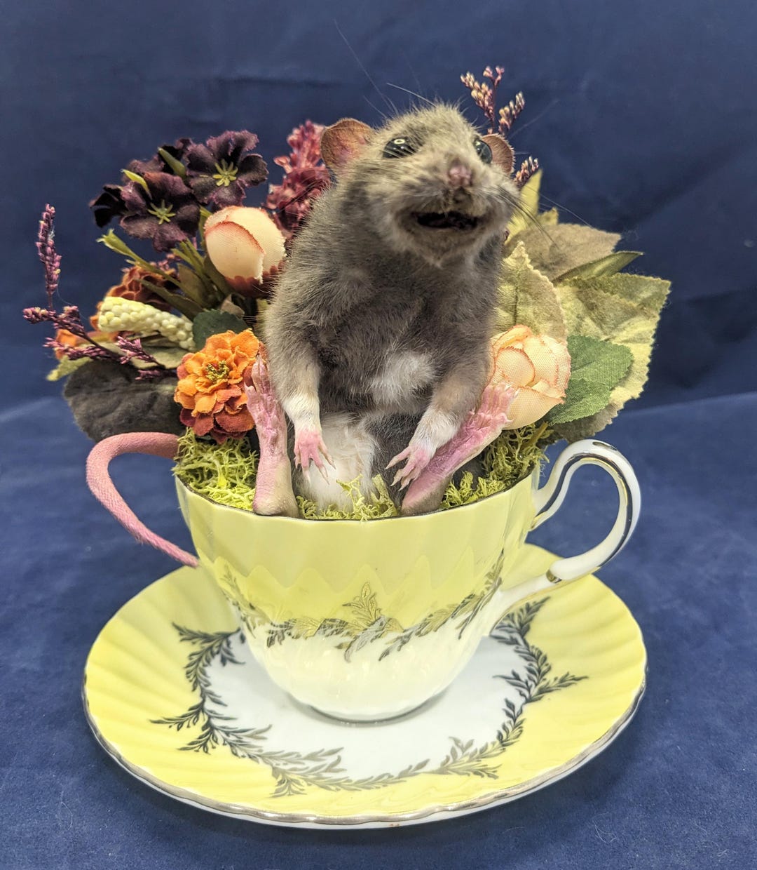 Taxidermy Rat in Vintage Teacup and Saucer With Floral Arrangement Oddities Bad Taxidermy ...