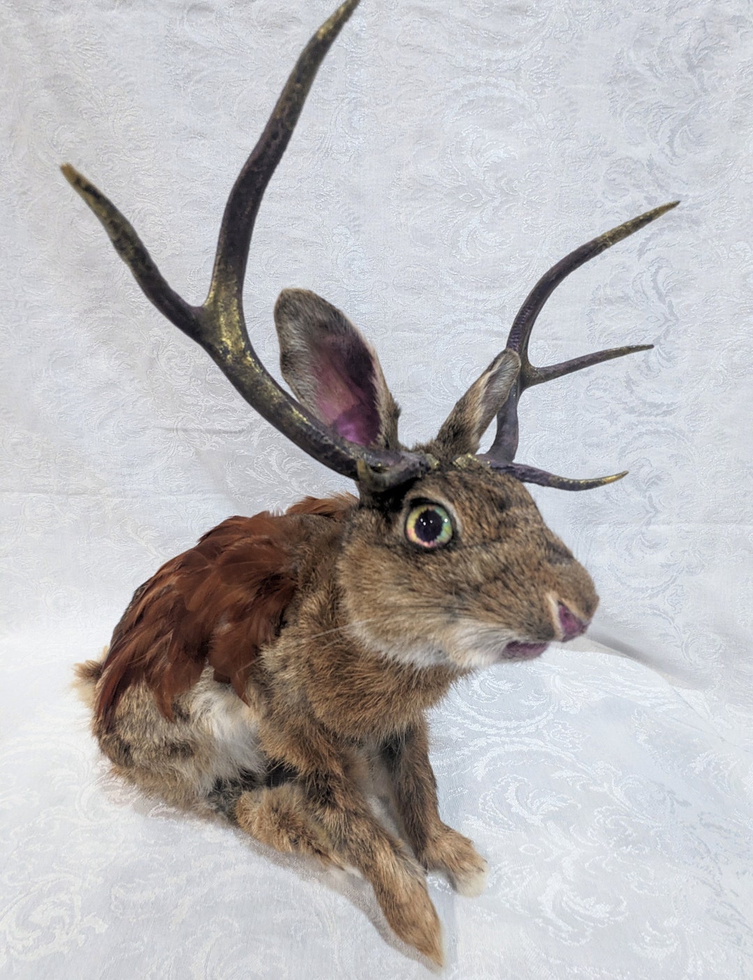 Taxidermy Wolpertinger Jackalope Rabbit One of A Kind Oddities Handmade ...