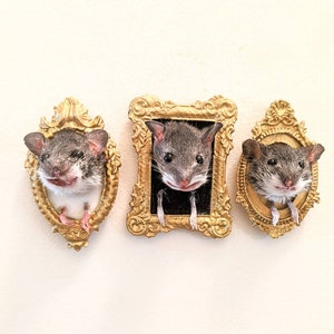 Taxidermy Mouse Head Mount Trophy Tiny Mouse With Paws / No - Etsy
