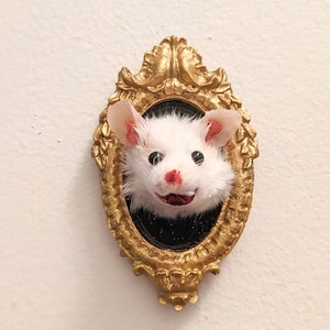 Taxidermy Mouse Head Mount Trophy Tiny Mouse Magnetic Victorian Black ...