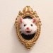 Taxidermy Mouse Head Mount Trophy Tiny Mouse / Hamster / Rat - Etsy
