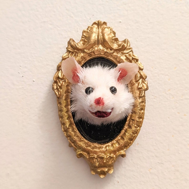 Taxidermy Mouse Head Mount Trophy Tiny Mouse Magnetic Victorian Black ...