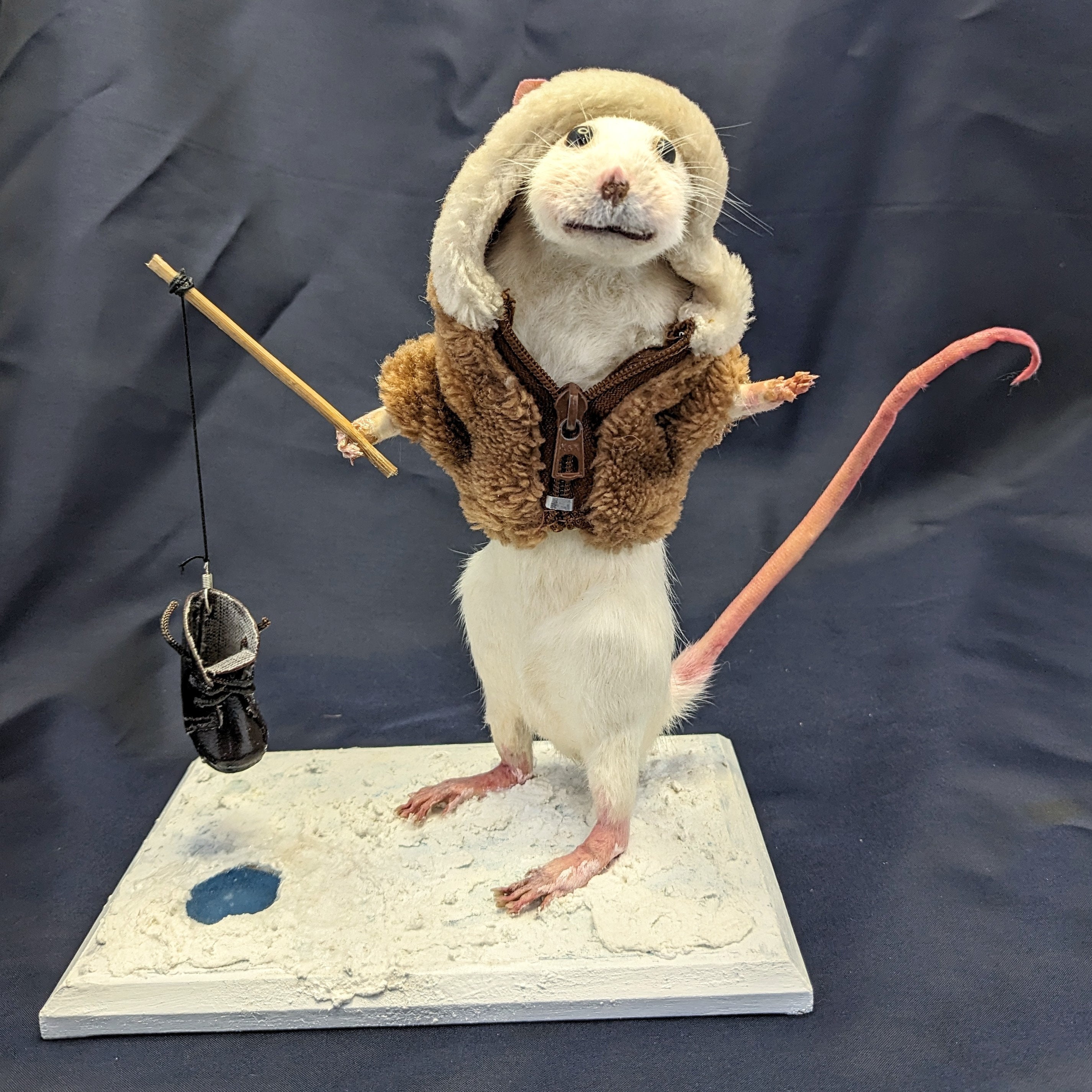 Funny Taxidermy