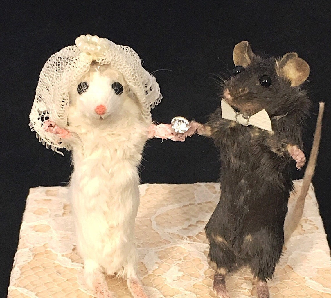 Bride and Groom Taxidermy Mice Cute Tiny Mouse taxidermy of | Etsy