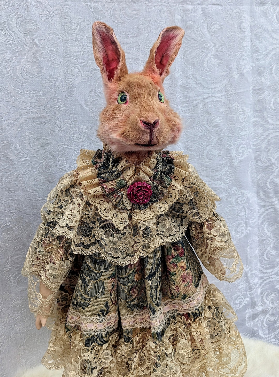 Taxidermy Rabbit Doll in Frilly Dress Rabbit Dyed Pink Creative ...