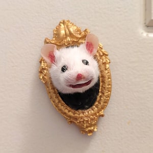 Taxidermy Mouse Head Mount Trophy Tiny Mouse Magnetic Victorian Black ...
