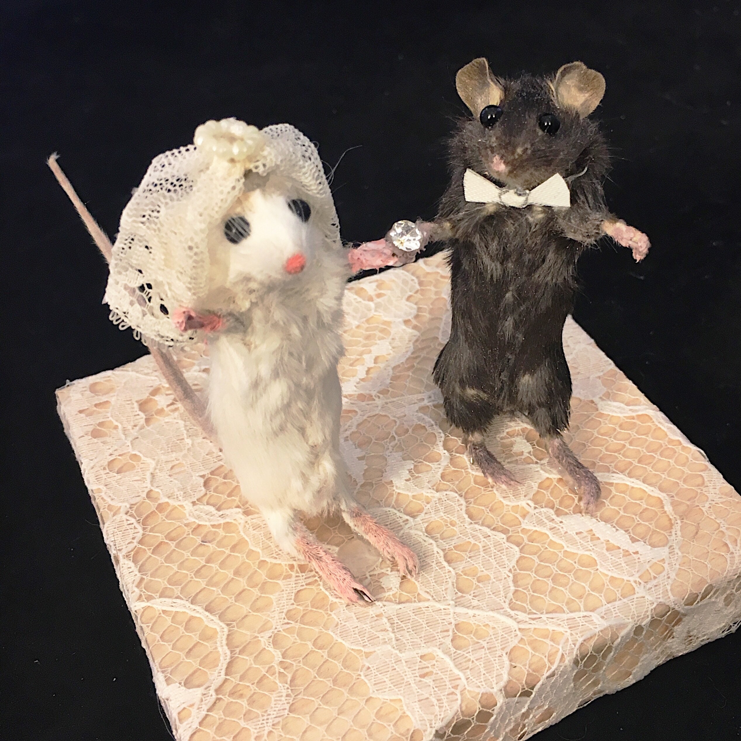 Bride and Groom Taxidermy Mice Cute Tiny Mouse Taxidermy of - Etsy UK