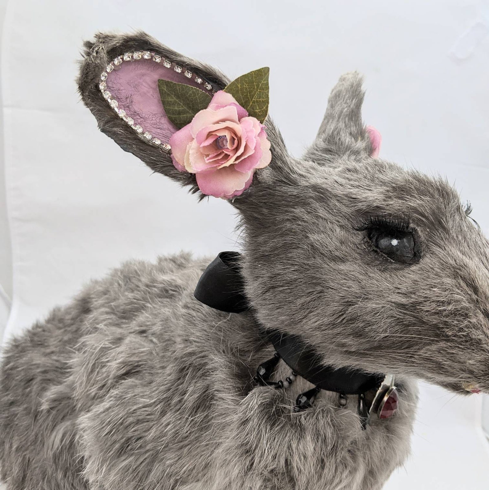 Taxidermy grey rabbit large fluffy taxidermy bunny decorated | Etsy