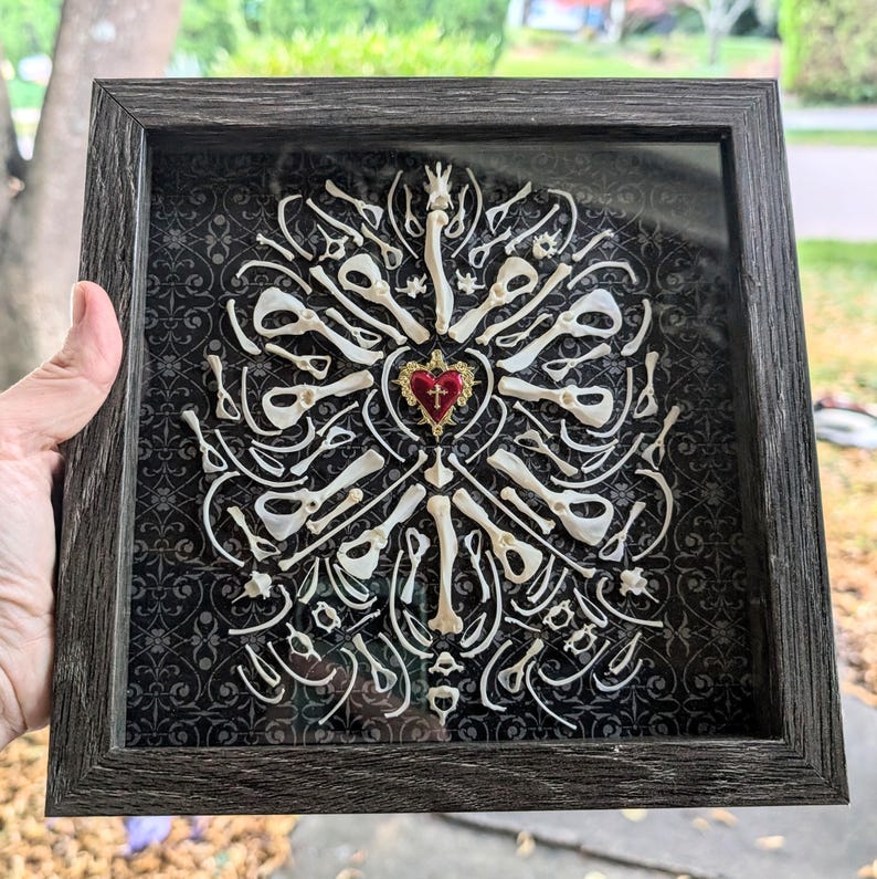 Bone Mandala Wall Art Taxidermy Oddities One of A Kind Bone Assembly ...