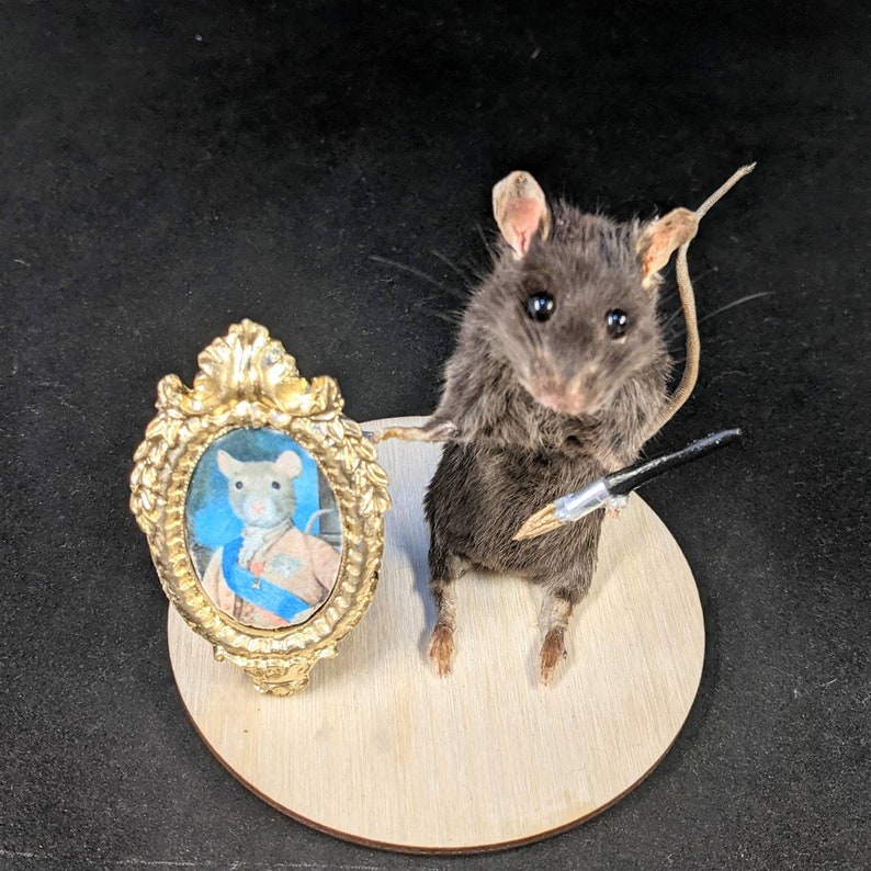 Taxidermy Mouse is a Beautiful Painter Mouse Taxidermy - Etsy