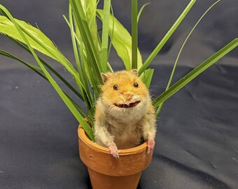 Cute Taxidermy - Etsy