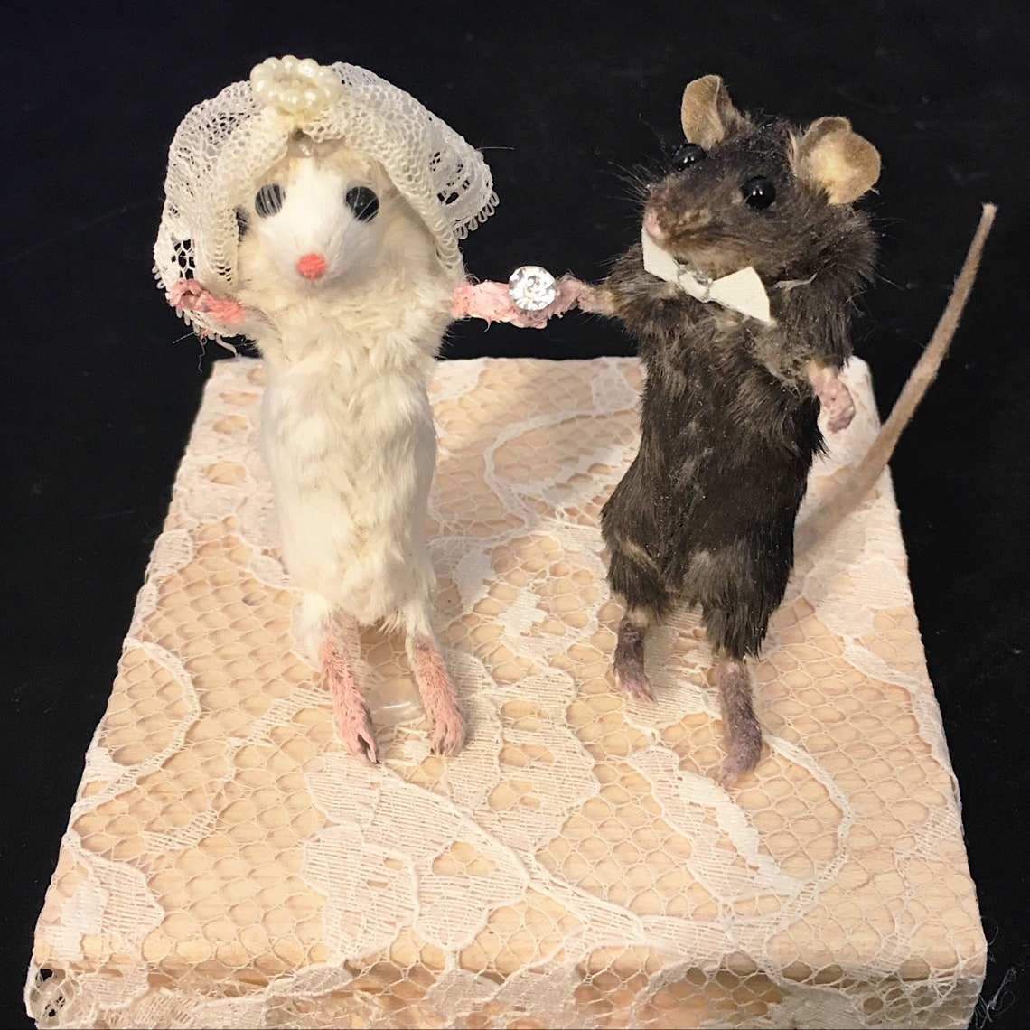 Bride and Groom Taxidermy Mice Cute Tiny Mouse taxidermy of | Etsy