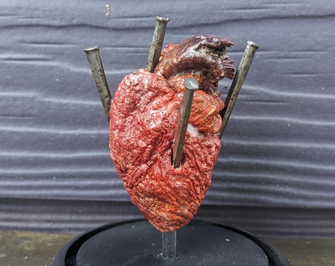Real Coyote Heart Mummified Preserved in Dome With Vintage Coffin Nails ...
