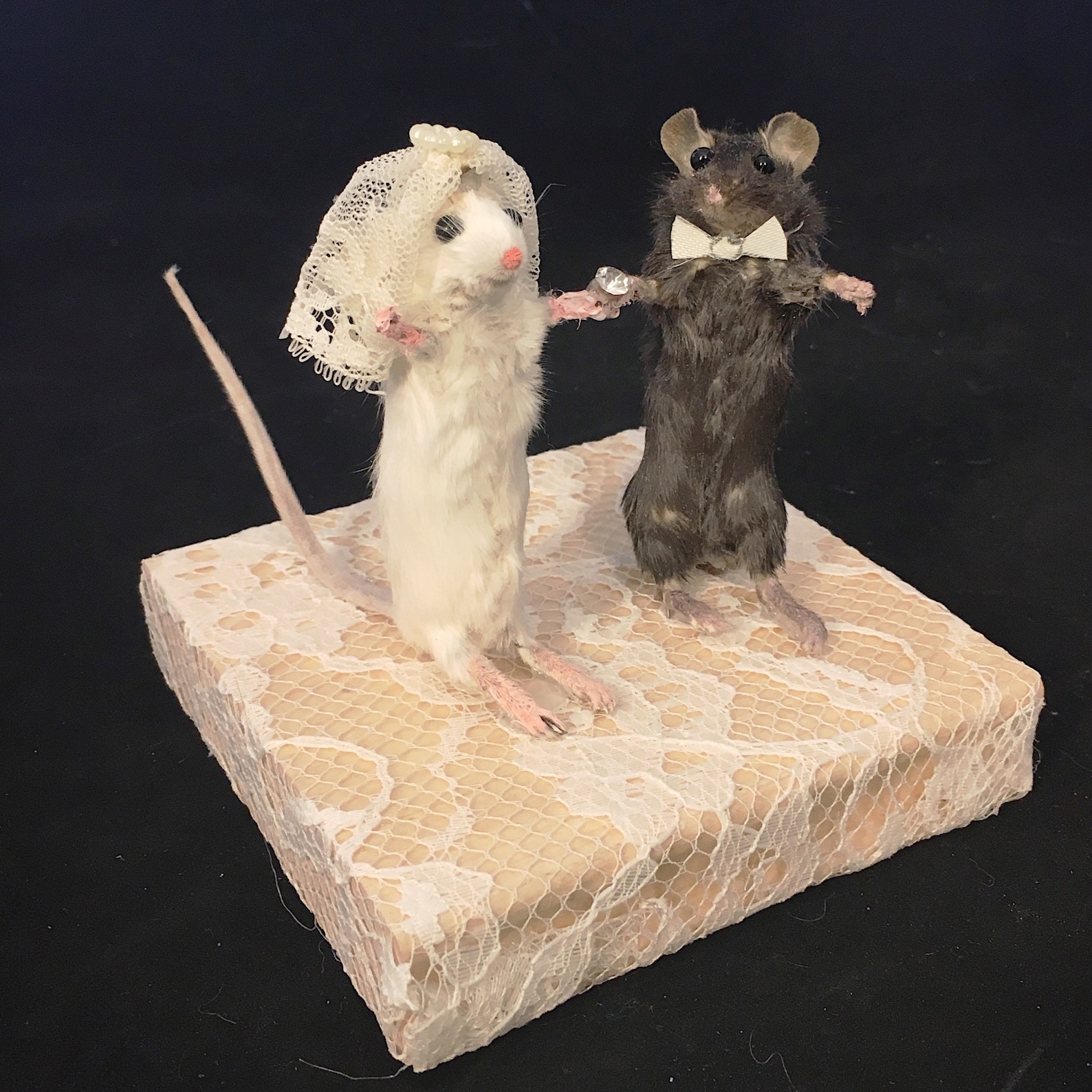 Bride and Groom Taxidermy Mice Cute Tiny Mouse taxidermy of | Etsy