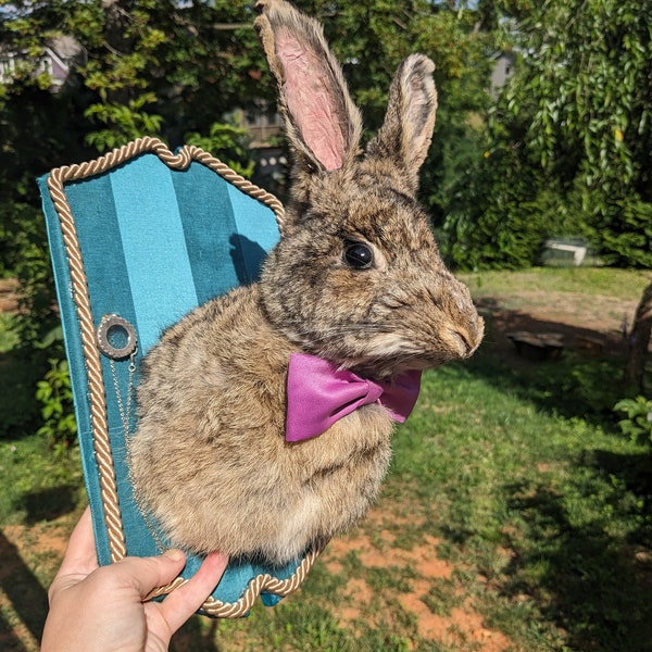 Rabbit Head Mount - Etsy
