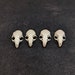Mouse Skull Real Tiny Mouse Skulls Cleaned Whitened - Etsy