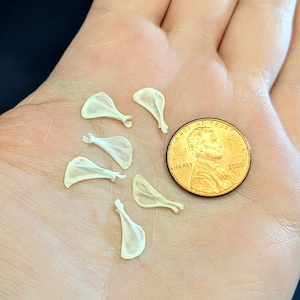 Animal Bones Rodent Scapula TINY Shoulder Blades Cleaned & Whitened ...