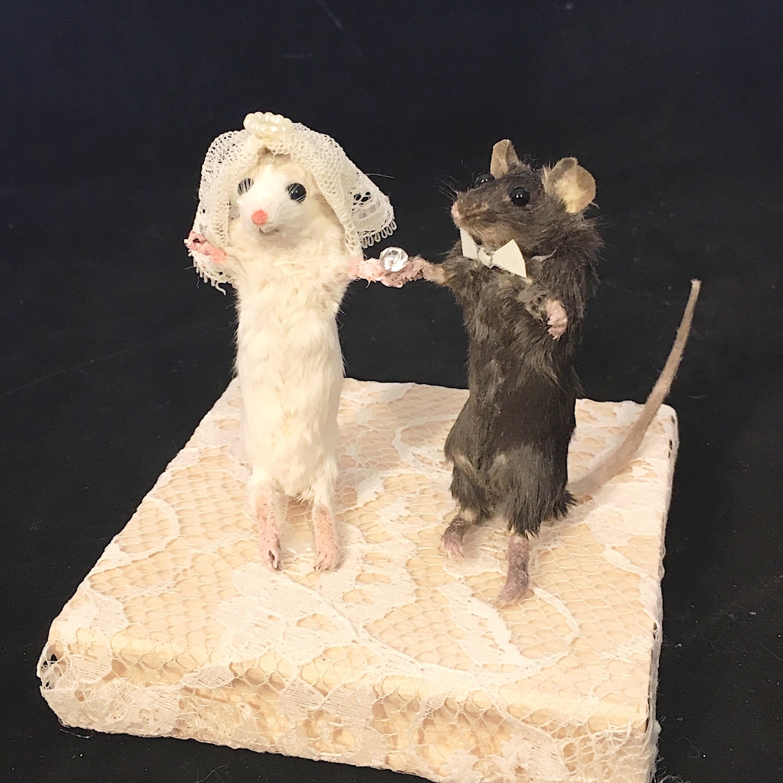Bride and Groom Taxidermy Mice Cute Tiny Mouse taxidermy of | Etsy