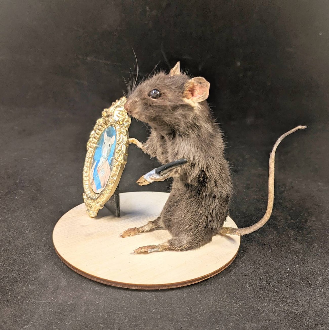 Taxidermy Mouse is a Beautiful Painter. Small Mouse Taxidermy - Etsy