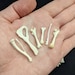 Animal Bones Leg Arm Hip Bones Rat Mouse Hamster Gerbil Real Small TINY ...