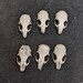Mouse Skull Real Tiny Mouse Skulls Cleaned Whitened - Etsy