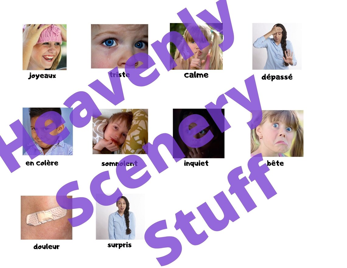 Emotions Chart ,feelings Poster,english/french ,feelings Printable ...
